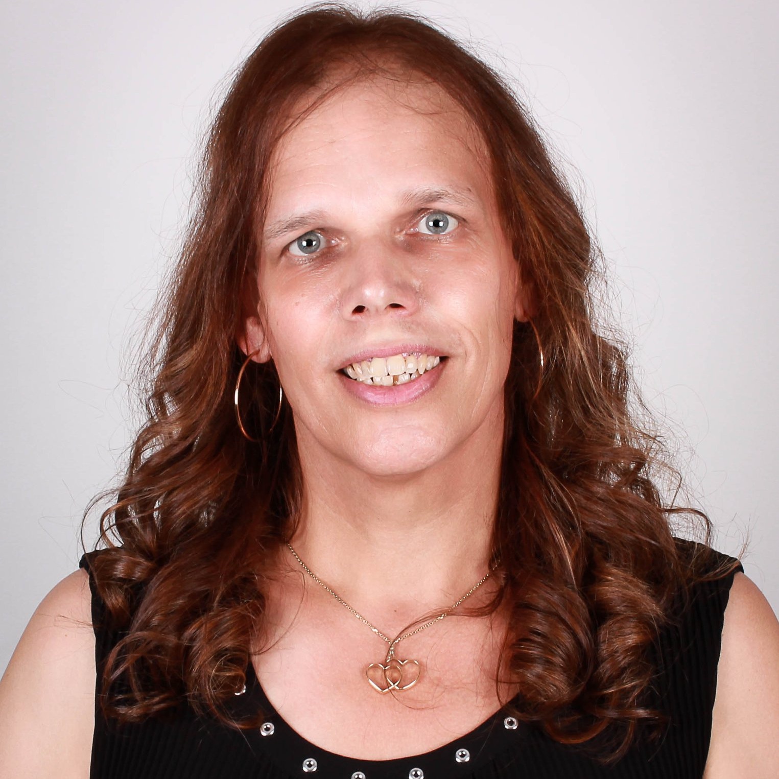 Dutch model trains / Nederlandse Model Spoorwegen - D M T